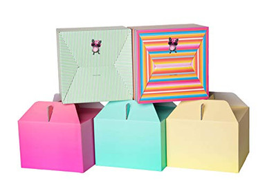 10x10 Cake Box, 5 Gable Box in 5 Unique Assorted Theme Colors, Sturdy ...