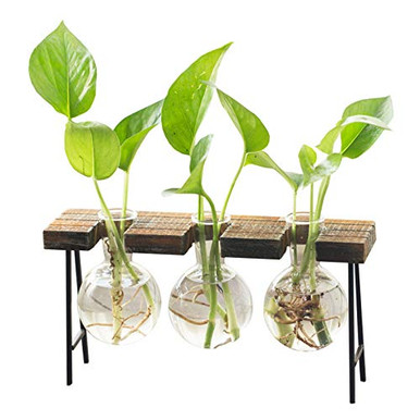 Plant Terrarium Hydroponic Vase Planter, 3 Glass Bulb Vase, Tabletop ...