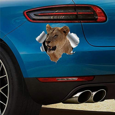 Wild Lion Decal for Bumper Lioness Stickers 3D Funny Car Decal Window ...