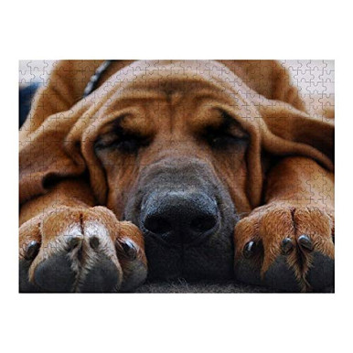 NiYoung 500 Piece Jigsaw Puzzle - Bloodhound Dog Design - Intellectual ...