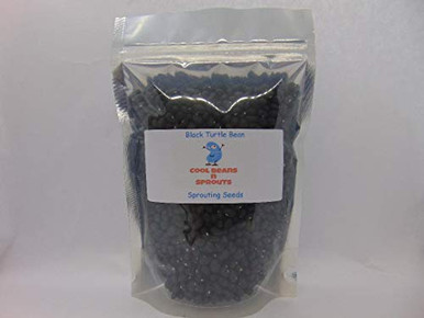 inch COOL BEANS n SPROUTSinch Brand Black Turtle Black Bean Seed 10 ...