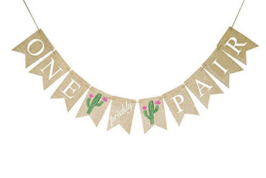 One Prickly Pair Banner - Twin First Birthday Banner - Fiesta Birthday ...
