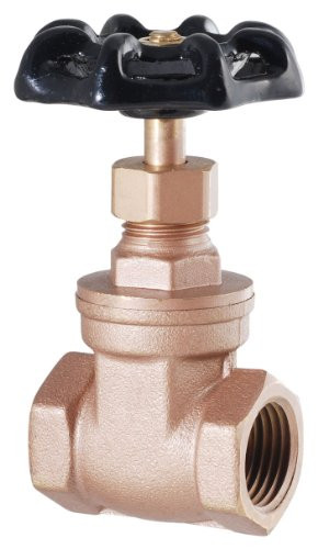LDR 022 1115 Heavy Duty Gate Valve, 1-Inch IPS, Lead Free Brass ...