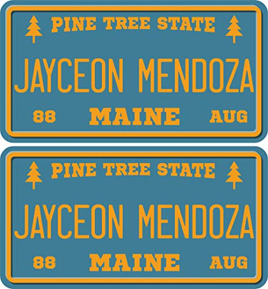 Custom Name Labels Us License Plate Design Personalized Name Waterproof ...