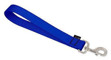 Training Tab by Lupine in 1 inch Wide Blue for Medium and Larger Dogs ...