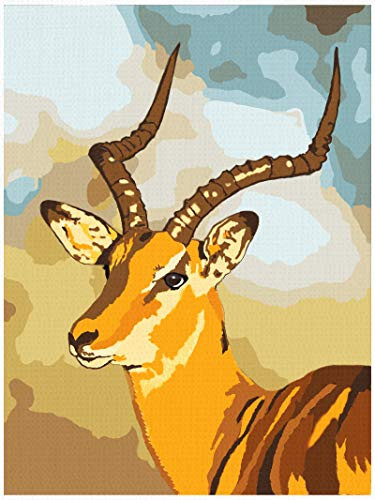 Maomaomi Paint by Numbers for Kids and Adults and Beginner _ DIY Canvas ...
