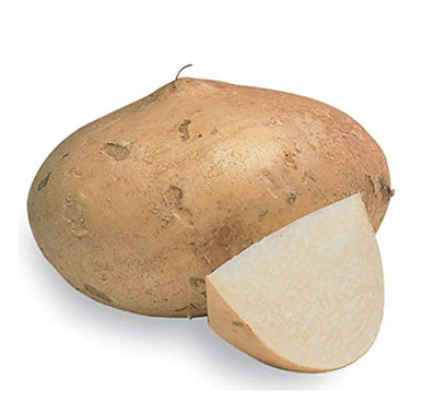 Jicama Root Seeds _ 20 Large Seeds. Jicama Plants Produce Several Bulbs ...