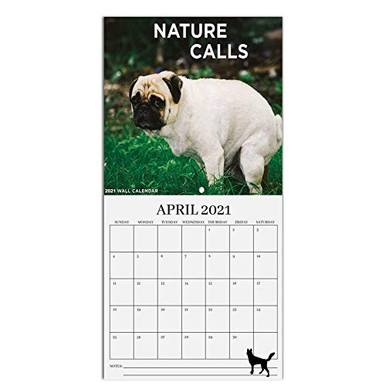 O D Dexuan 2021 Dog Pooping Calendar_ 2021 Dog Wall Calendar 2021 ...
