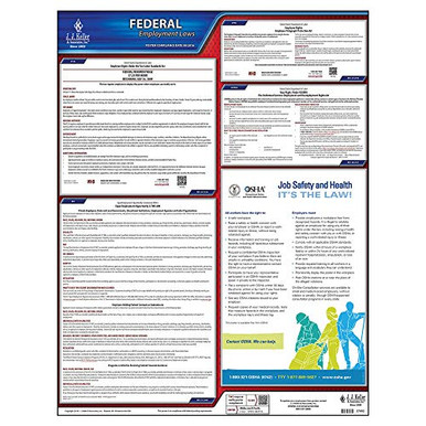 Federal Labor Law Poster _No FMLA Notice_ _ 20 inch x 26 inch English ...