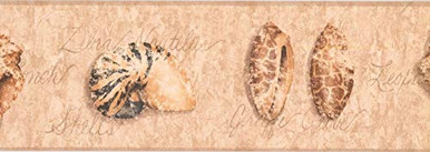7 in x 15 ft Prepasted Wallpaper Borders _ Conch Shell Wall Paper ...