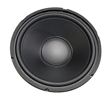 12 inch Woofer with Poly Cone and Rubber Surround 120W RMS at 8ohm ...