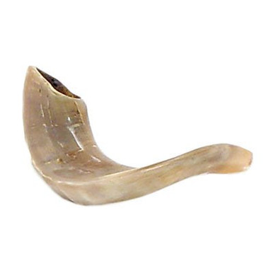 Shofar Kosher Ram Horn 8-9 inch Hand Made In ISRAEL Great For Rosh ...