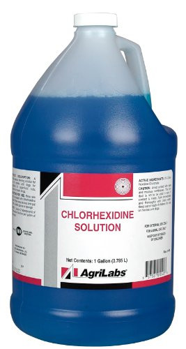 Chlorhexidine Disinfectant Solution by AgriLabs Gallon - Warehousesoverstock