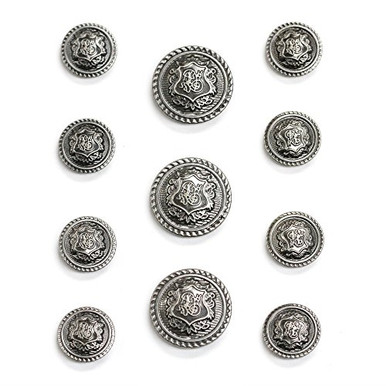 Set of 11 Lightweight Antique Silver Crest Buttons in Two Sizes ...