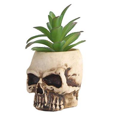 FLAMEER Human Skull Planter Pot Skull Head Model Succulent Planter Pot ...