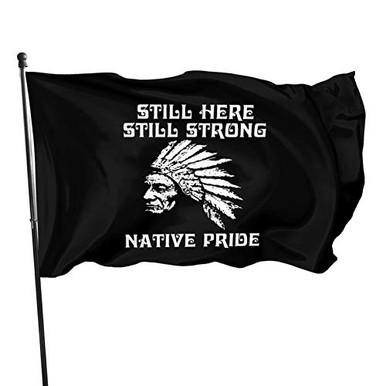 YRNAVEI Native American Pride Flag 3x5 feet Sturdy Durable Indoor ...