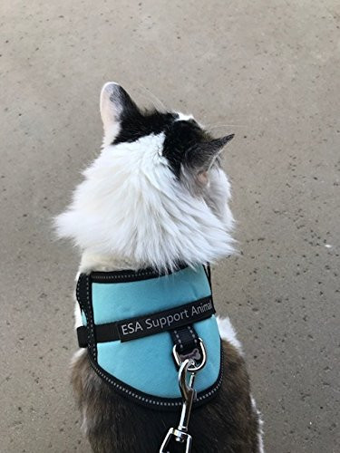 Emotional Support Animal Harness and Matching Leash Set for Small and ...
