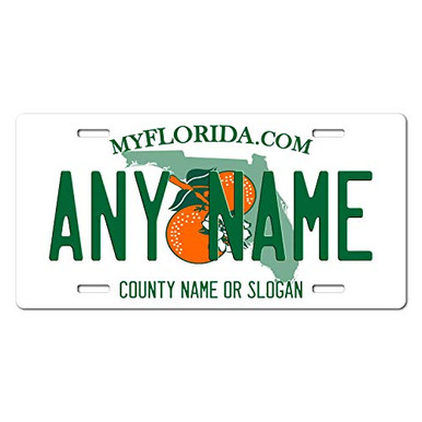 TEAMLOGO Personalized Florida License Plate - Sizes for Kid s Bikes ...