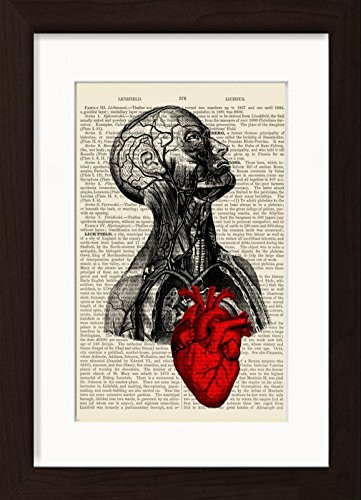 Anatomical Head With Muscles And Red Heart Mounted Matted Dictionary ...