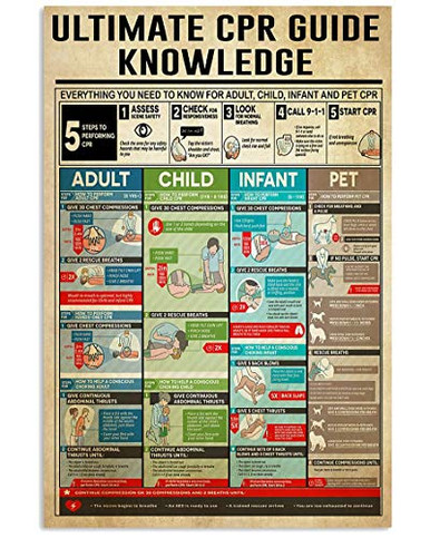 AMD PRINT Paramedic Poster CPR Ultimate Guideline Knowledge for Adult ...