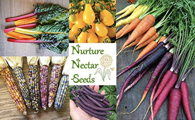 Rainbow Garden Pack by Nurture Nectar Over 100 Seeds of 7 Varieties of Colorful Fruits and ...