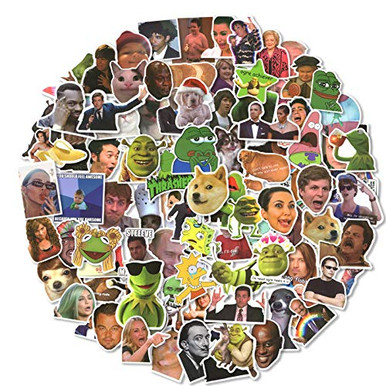 100pcs Funny Stickers for Water Bottles Cute Meme Stickers for Laptop ...