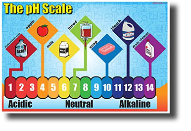 The pH Scale - NEW Classroom Science Poster - Warehousesoverstock
