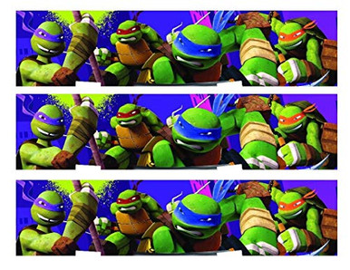 New Ninja Turtle Designer Strips Edible Cake Border Design Toppers ...