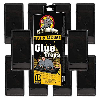 10 Mouse Rat Glue Traps Jumbo Trap no See Kill Zapper Sticky mice Traps ...