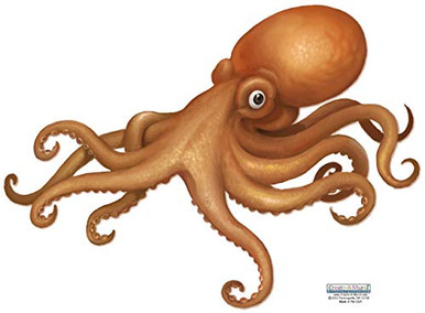 Small Octopus Wall Decal -Ocean Sea Life Animal Peel and Stick Kids ...