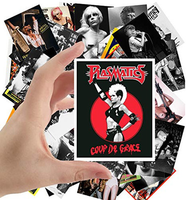 Large Stickers 24pcs 2.5 inchx3.5 inch PLASMATICS WENDY O WILLIAMS ...