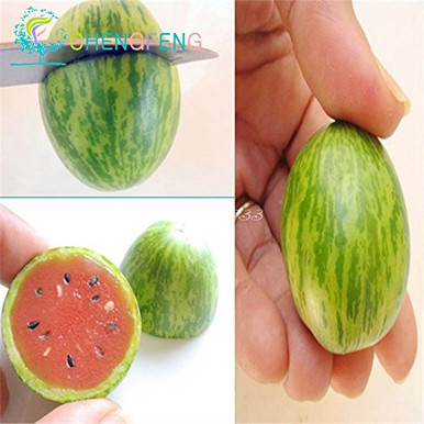 Thumb watermelon seeds mini watermelon Peipujinun 30pcs bag vegetable ...