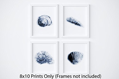 My Vinyl Story Watercolor Blue Seashells Wall Art Print 8x10 Set for ...