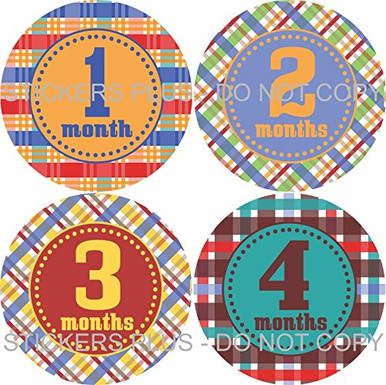 Baby Boy Month Stickers Monthly Baby Milestone Stickers Colorful Madras ...