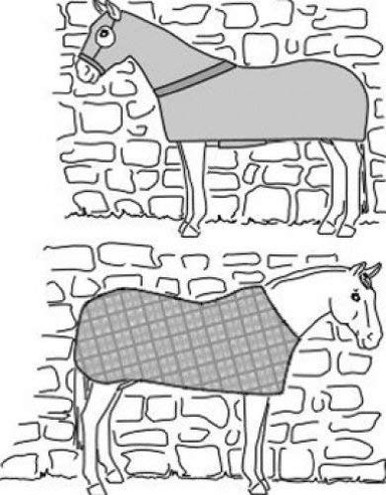 Field s Fabrics Suitability 7840 Horse Body Cover and Stretch Sheet ...