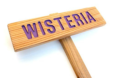 WISTERIA Sign Outdoor Marker Yard Art Perennial Sign Flower Marker Vine ...