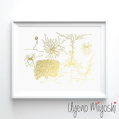 Neuron II Gold Foil Art Print Neuron Gold Print Nerve Cell Biology ...