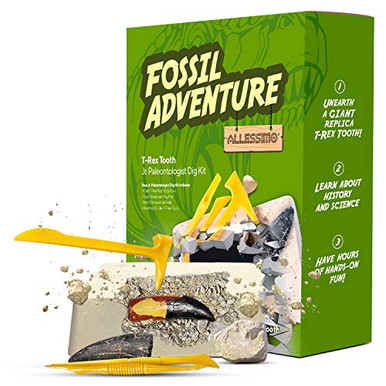ALLESSIMO Fossil Adventure - T.Rex Tooth Fossil Dig Kit Complete ...
