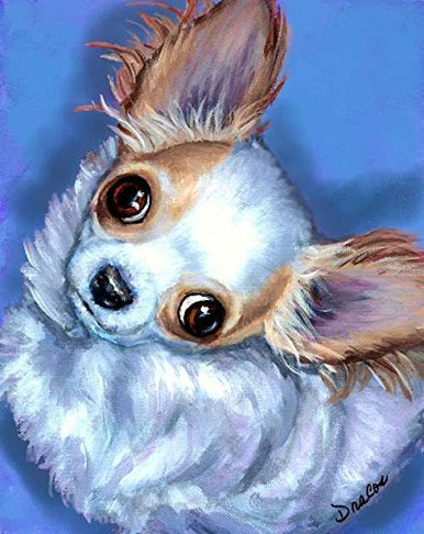 Chihuahua Dog Art Print Fawn and White Chihuahua on Blue Background ...