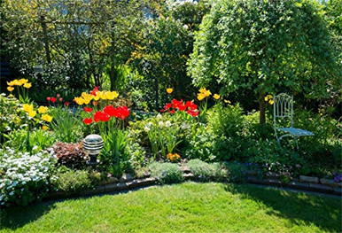 Laeacco 7x5ft Spring Backyard Garden Scenic Backdrop Vinyl Tulip ...