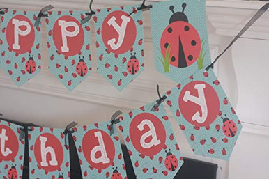 Happy Birthday Ladybug Lady Bug Red Blue Pennant Flag Theme Banner ...