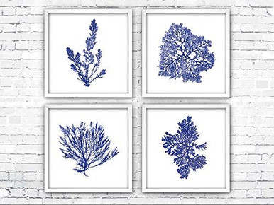 Coral Print Set Marine Life Square Coral Print Minimalist Art Navy Blue ...