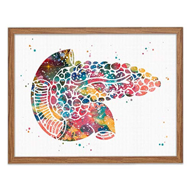 Pancreas Watercolor Print Human Internal Organs Wall Art Digestive ...