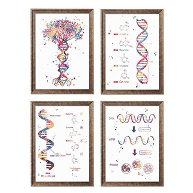 DNA and RNA Genetic Code Gene Expression Watercolor Poster Set Dna Tree ...