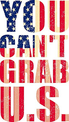 You cant grab US Vinyl Decal Wall Laptop Bumper Sticker 5 inch ...