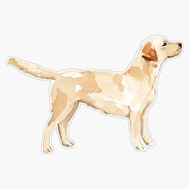 Yellow Lab Silhouette Watercolor Vinyl Waterproof Sticker Decal Car ...
