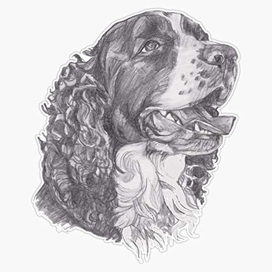 Classic English Springer Spaniel Dog Profile Drawing Sticker Vinyl ...