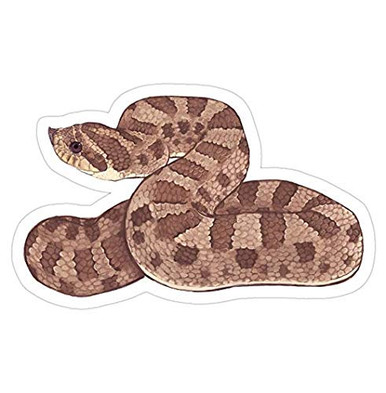 Hognose Snake Decal Sticker - Sticker Graphic - Auto Wall Laptop Cell ...
