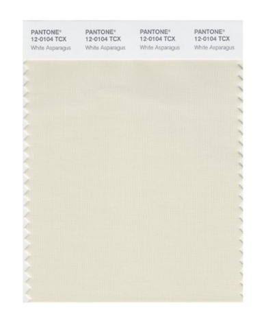 PANTONE SMART 12-0104X Color Swatch Card, White Asparagus ...
