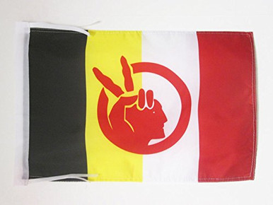 AZ FLAG American Indian Movement Flag 18 x 12 Cords - Native American ...